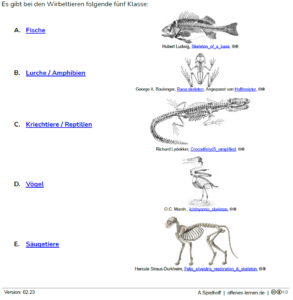 Systematik der Wirbeltiere - digbi.net