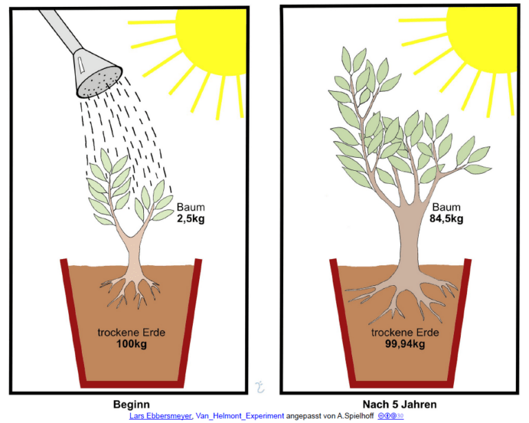 Experiment von Van Helmont - digbi.net