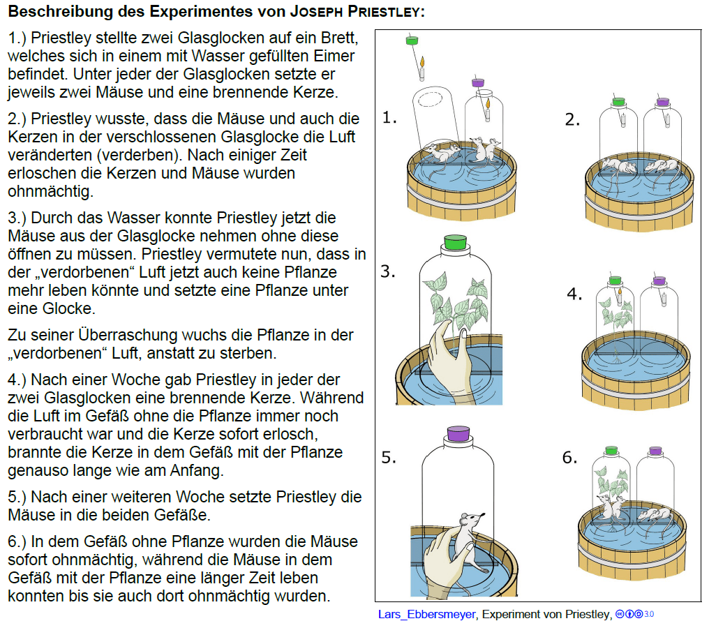 Experiment von Priestley - digbi.net